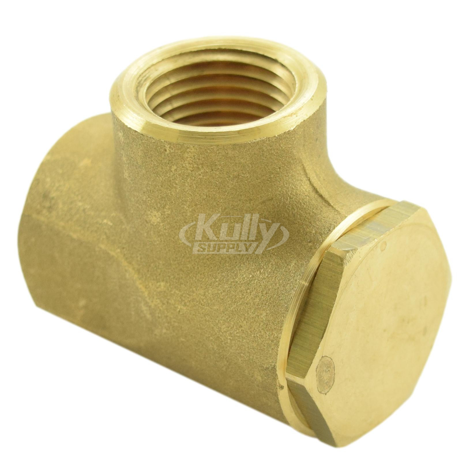 Guardian AP400-013 Replacement Inline Strainer | KullySupply.com