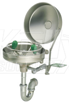 Haws 7760BT Wall-Mounted Eye/Face Wash (Discontinued) | KullySupply.com
