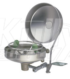 Haws 7760B Wall-Mounted Eye/Face Wash (with Bracket and Stainless Steel ...
